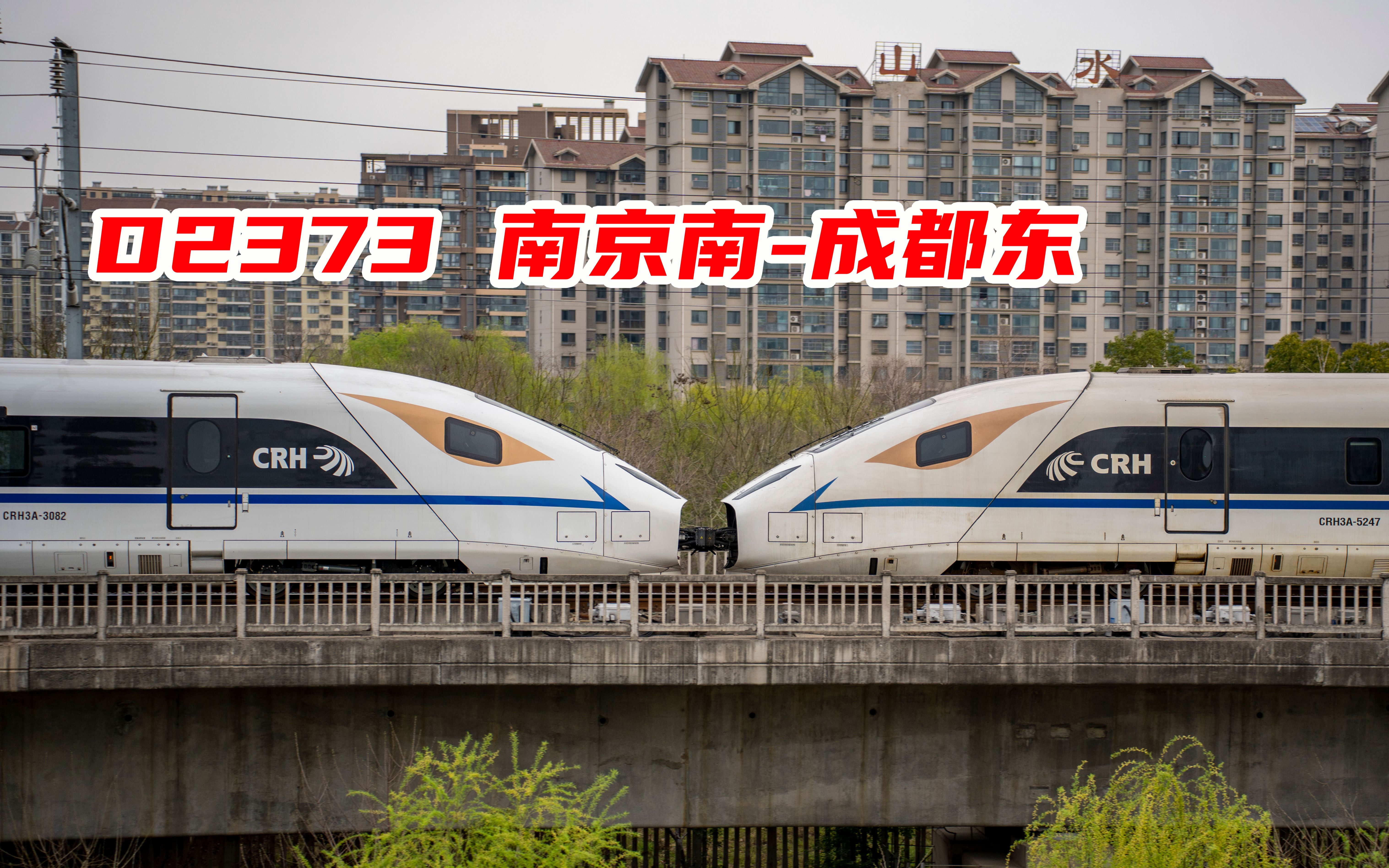 动车组也分公母?明显色差CRH3A重联担当D2373(南京南-成都东)进...