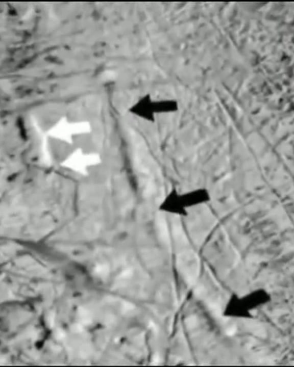 到底在月亮上发现了什么?不敢再登月的真相是什么