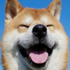 灵桐说搞笑 