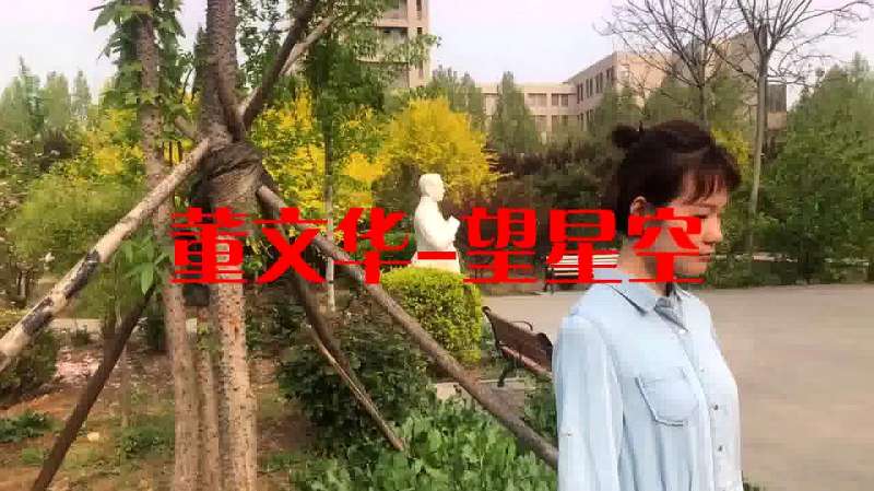 董文华把这首《望星空》唱到了极致,真情流露,好听至极!