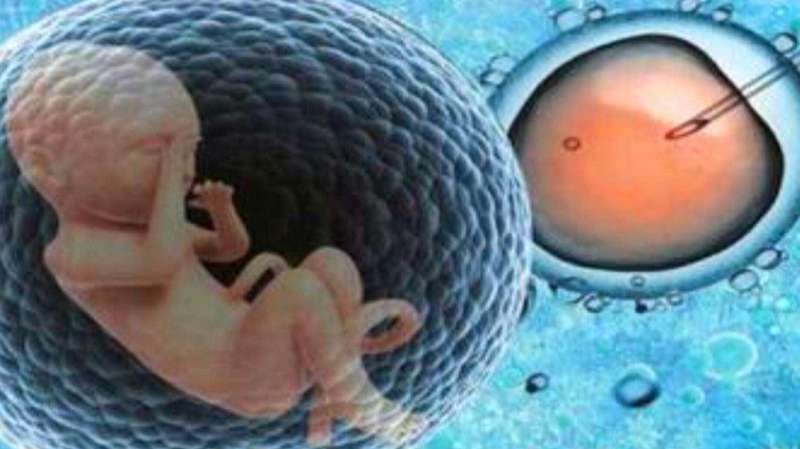 女人做“试管婴儿”究竟有多疼?镜头记录全程,母爱太伟大!