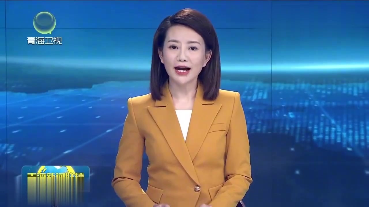 青海省党政代表团赴上海考察两地签署合作协议陈吉宁陈刚讲话龚正吴...