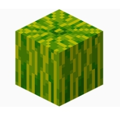 方瓜-Minecraft 