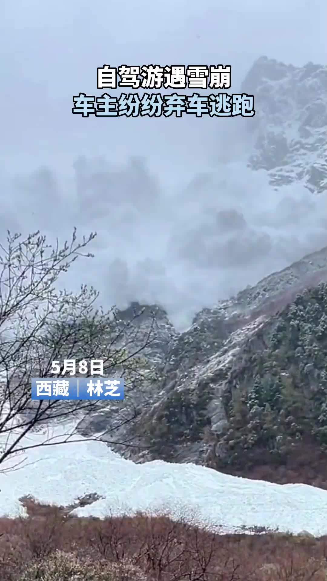 自驾游遇雪崩 车主纷纷弃车逃跑