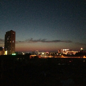 摸鱼学长 