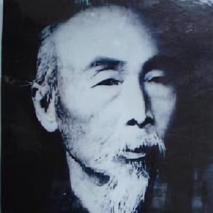 南枝越鸟 