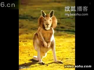 PS圣手制作的超自然动物