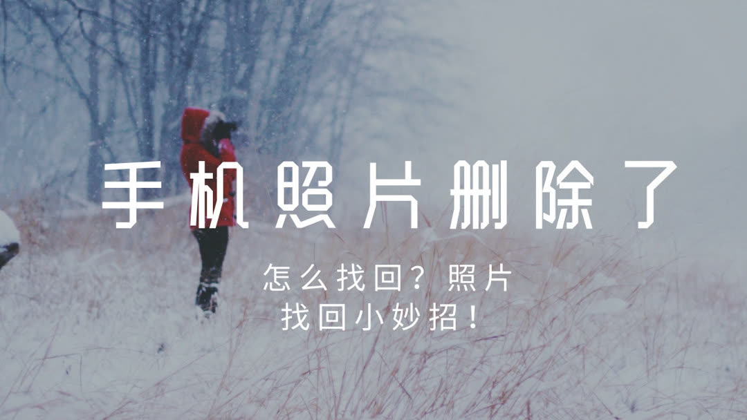 误删的照片怎么找回,这个方法最实用!