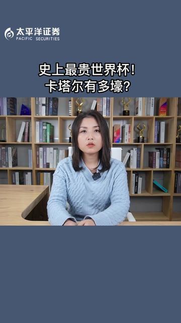 史上最贵世界杯!卡塔尔有多壕?#世界杯背后的经济学 #硬核知识局 #...