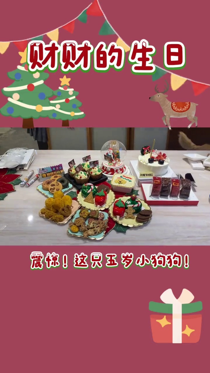 萌宠出道计划生日快乐生日快乐呀!
