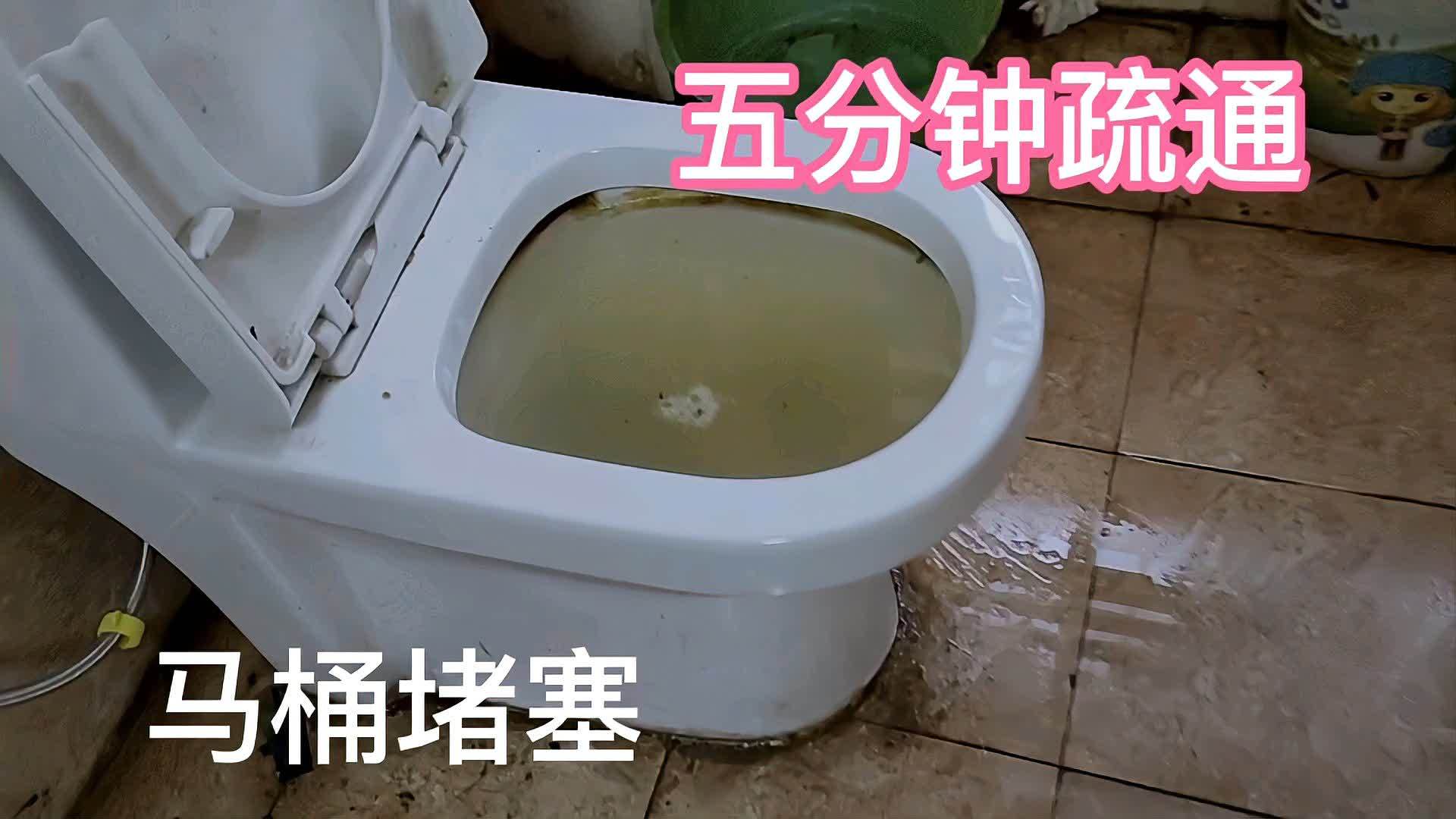 五分钟疏通马桶,客户给了一百元报酬,这钱也太好赚了吧