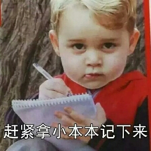 锋子没疯 