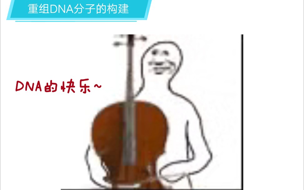 上生物手工课啦~【重组DNA分子的构建】