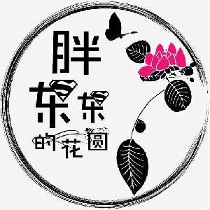 胖东东的花圆 