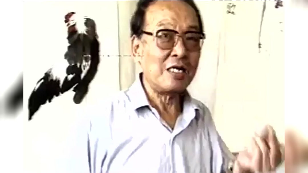 中国画花鸟的画法技法教学视频(国画教程A