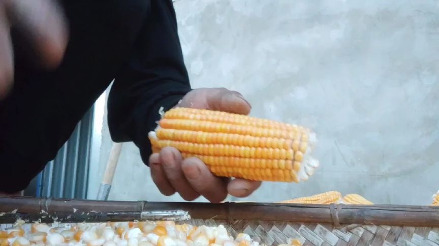 螺丝刀新用法…ߘ