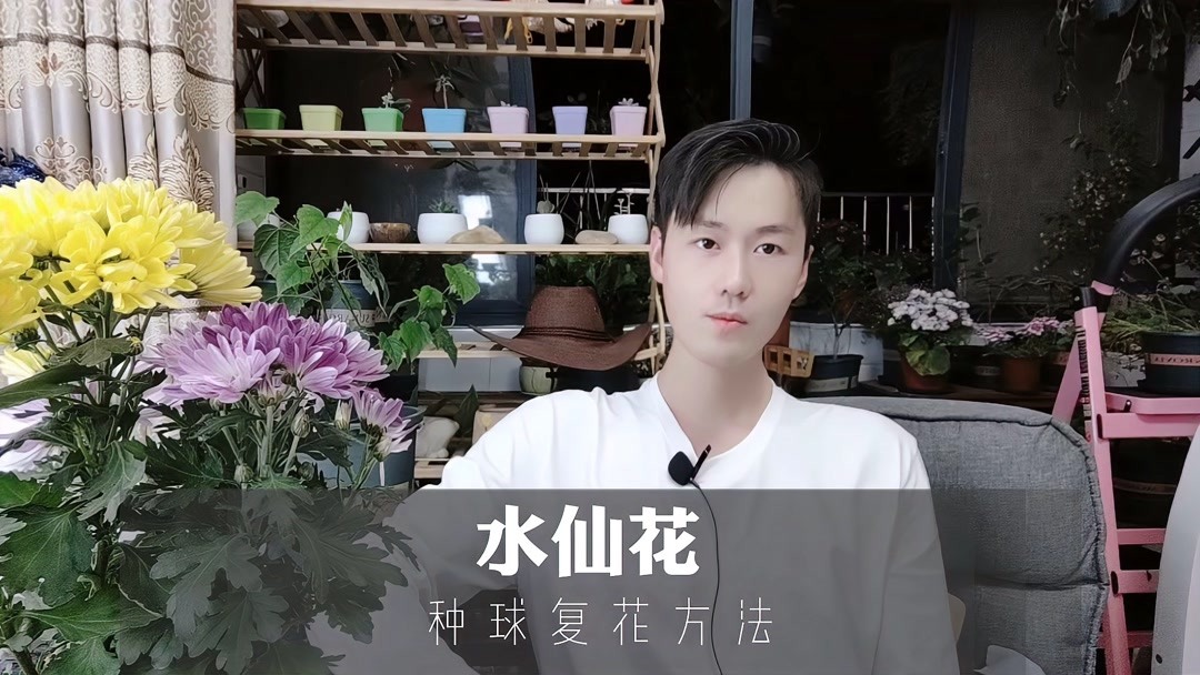 水仙花开完不用丢,这样处理来年开花更多!