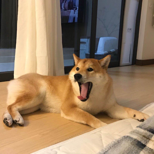 jymiu1 