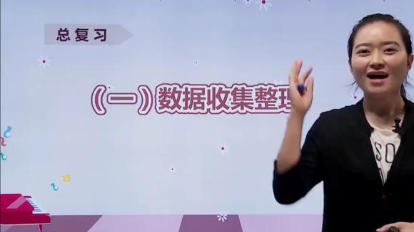 人教数学二年级下册(总复习)-数据收集整理