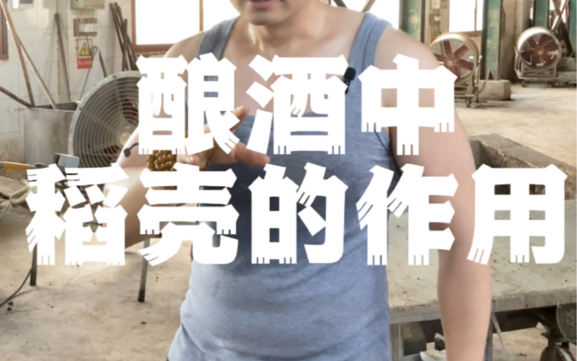 酿酒中稻壳的作用