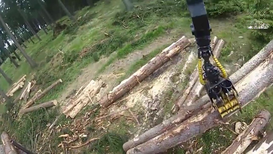 国外的森林树木被砍伐后,原来是通过这样的方式运输出去的