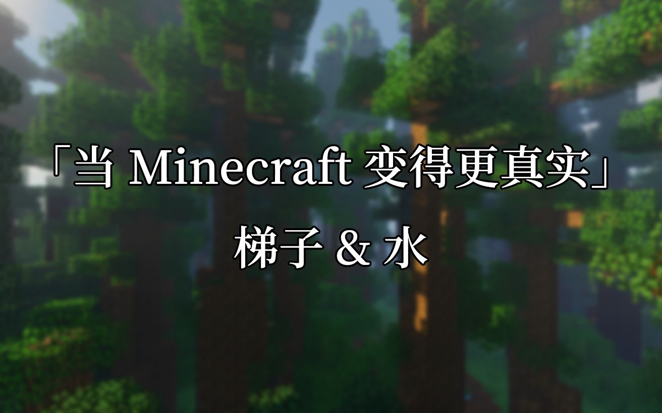 「如果 Minecraft 变得更真实」梯子 & 水