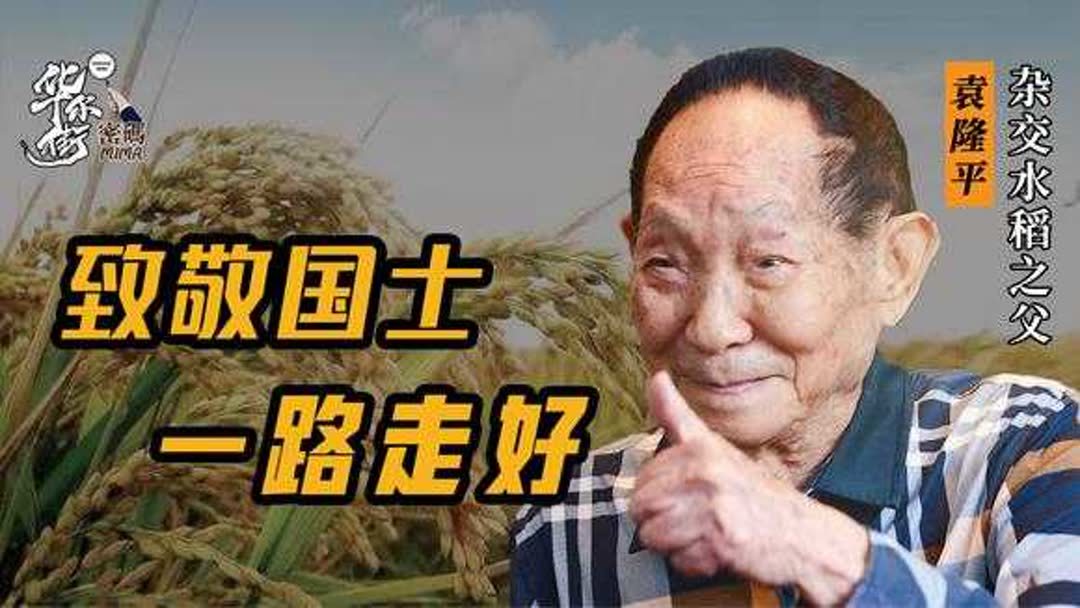 一天痛失两个院士,缅怀袁隆平吴孟超!国士无双