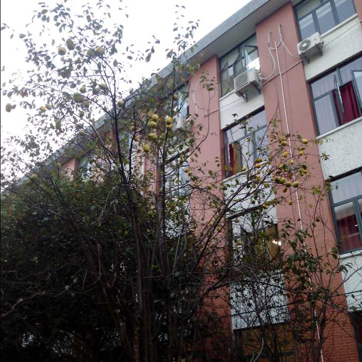 滴埃迪调皮桑 