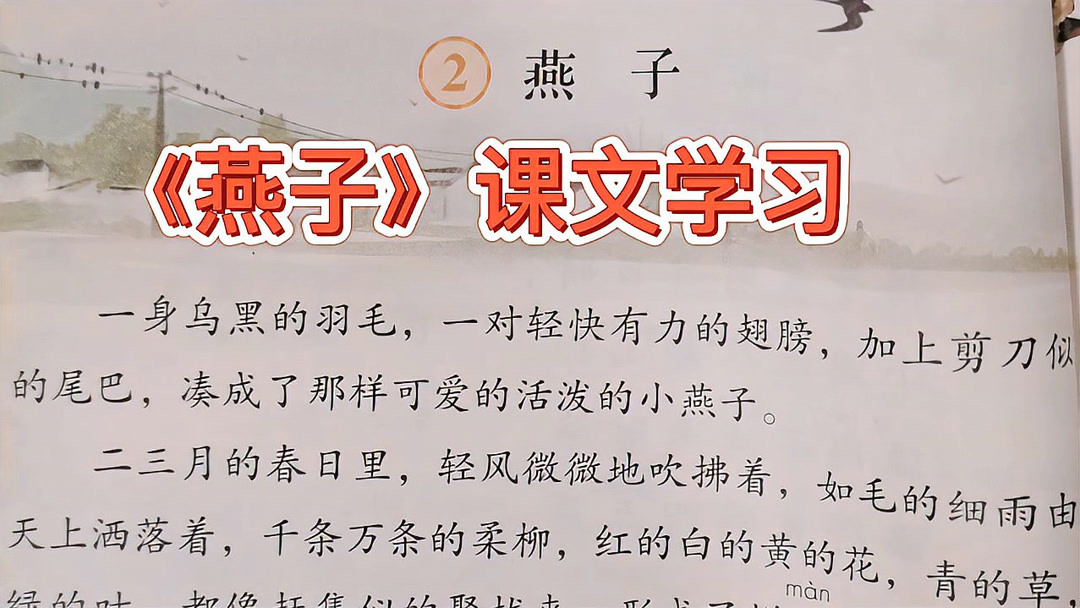 三年级下《燕子》课文学习,小燕子是怎么凑成的,请你来说一说