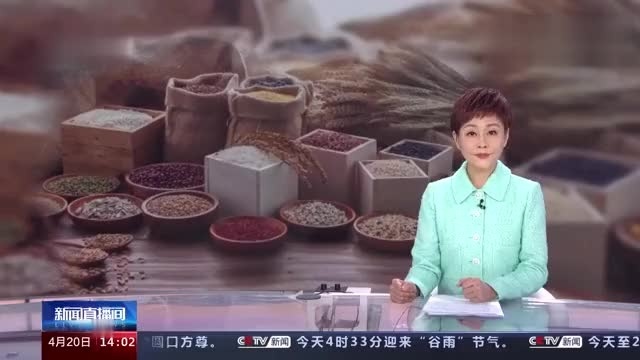 中国农业展望报告:2020年我国水稻小麦玉米播种.