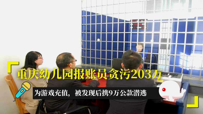 重庆幼儿园报账员挪用203万公款,维持游戏大佬地位,处40万罚金