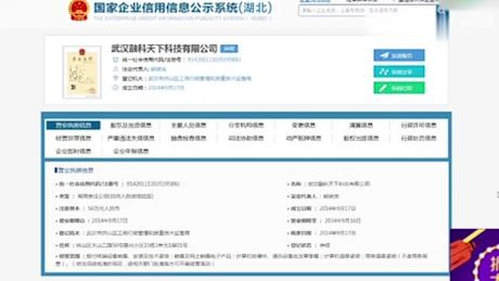 怎么查询公司资质等级