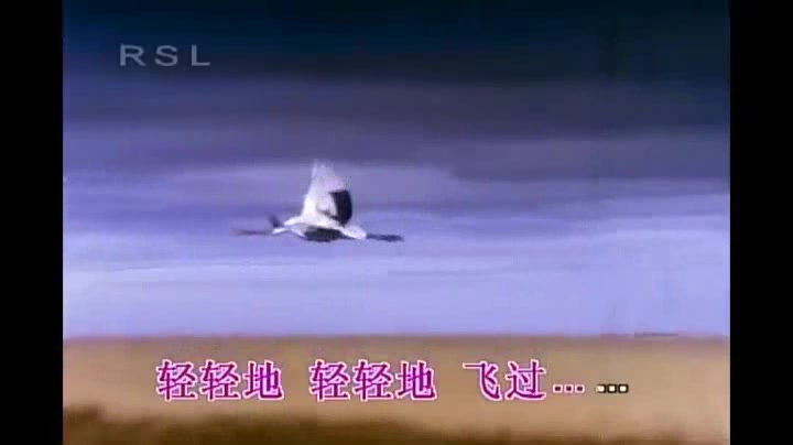 【赵一 演唱】《一个真实的故事》陈雷 陈哲 解承强 词曲