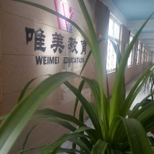 优酷用户1637562673103830 