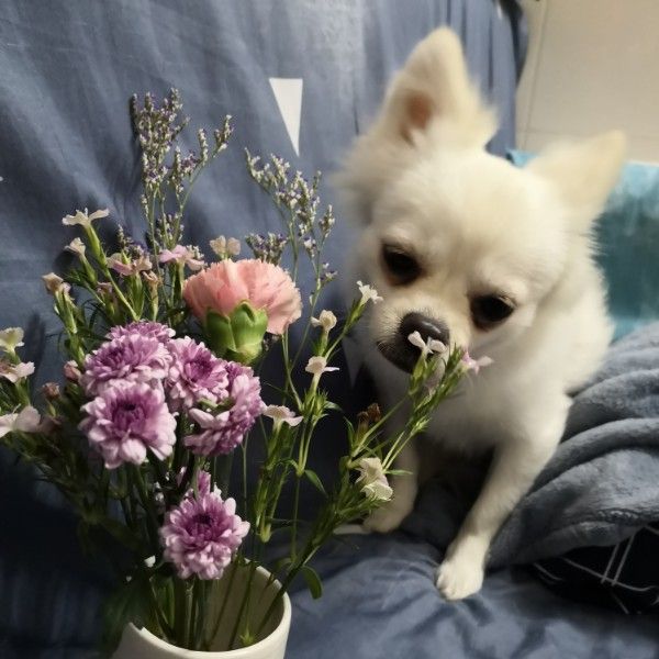 温蒂宝宝 
