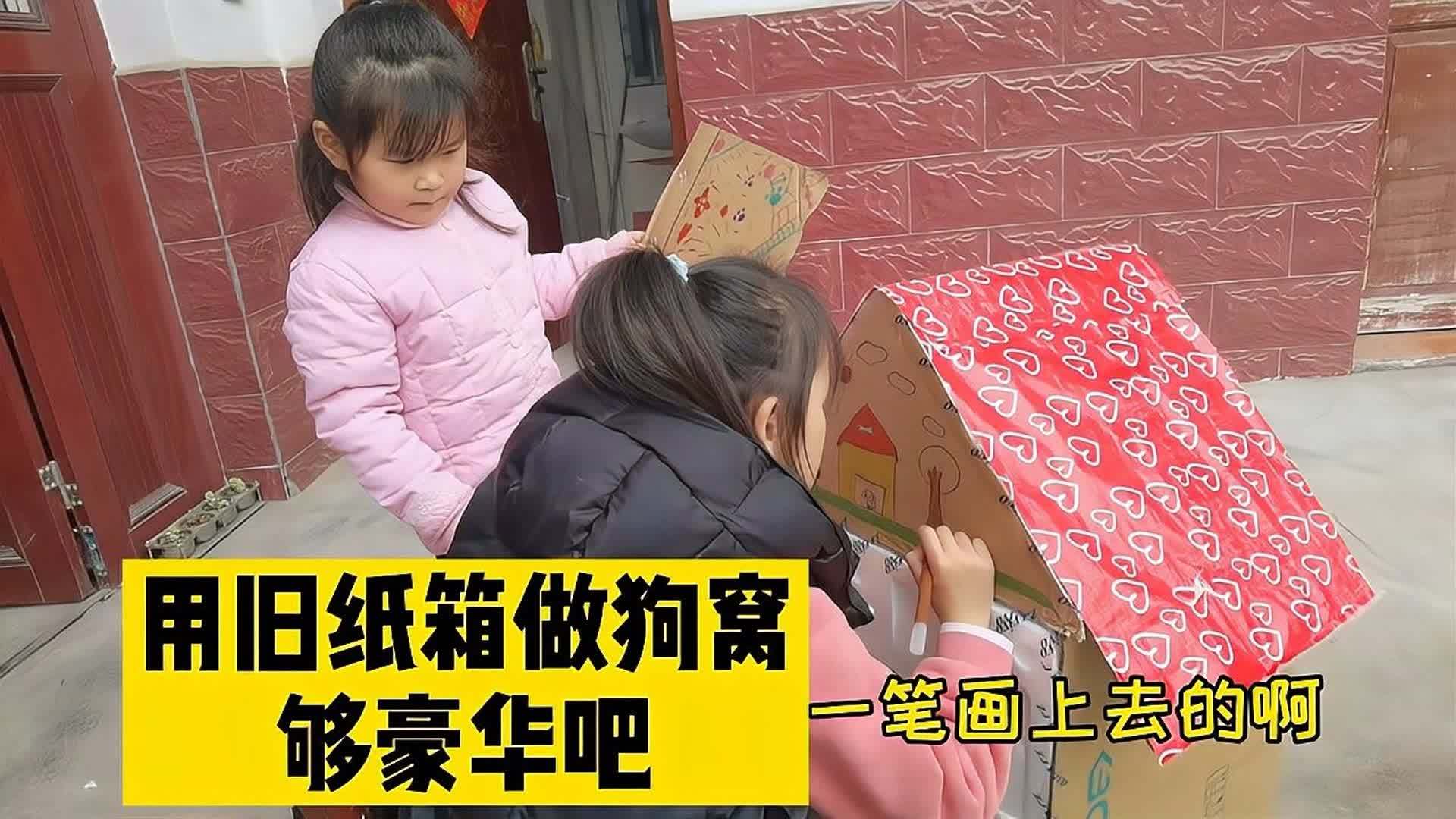 农村小伙用旧纸箱陪两个女儿给小狗做了个爱心狗窝,结局好温馨