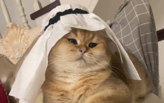 【PeRo董事长】石油王子最新录像流出,因全球油价暴跌心烦意乱,对...