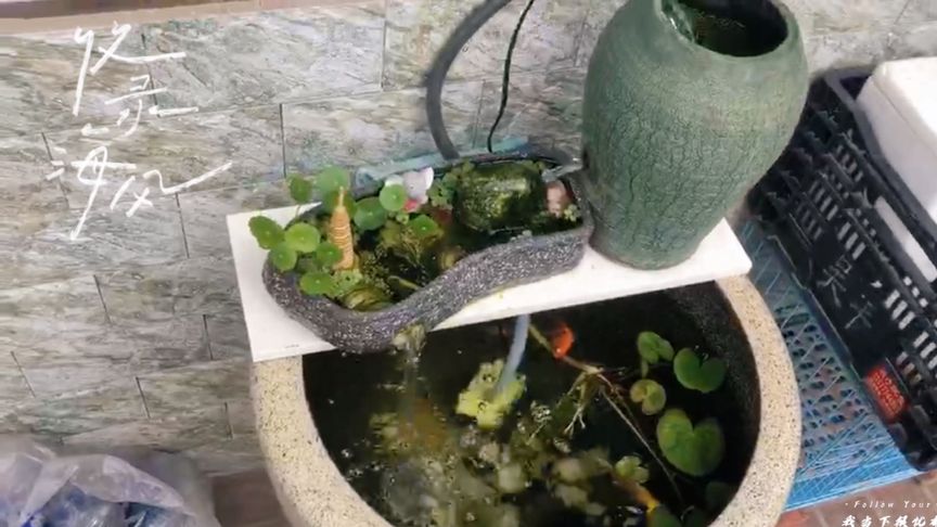 自己动手做的DIY鱼缸过滤,效果很不错ߑ�!
