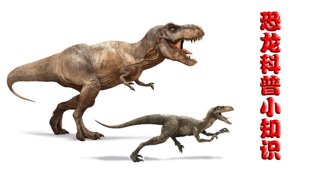 恐龙科普小知识 恐龙与人类的生存方式