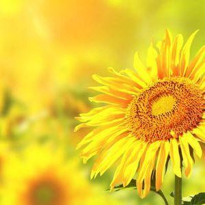 离开的都是不属于你的 