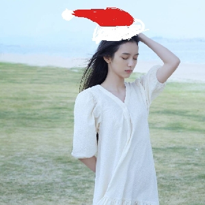 下辈子当个大侠 