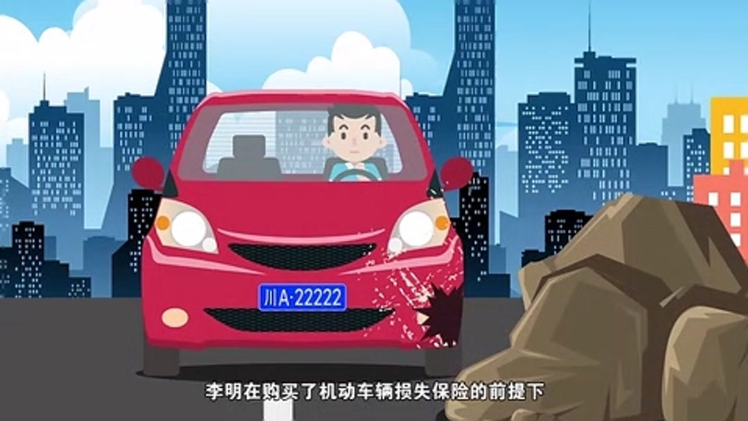 汽车保险与理赔-第四章-机动车辆损失保险(10)