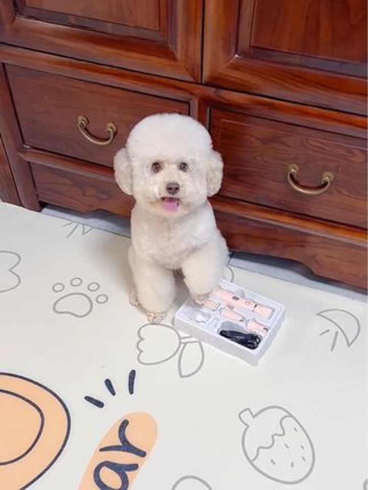 洗完澡开心了,小毛孩表达清晰!局部精修教程的分享,这个四合一的电推...