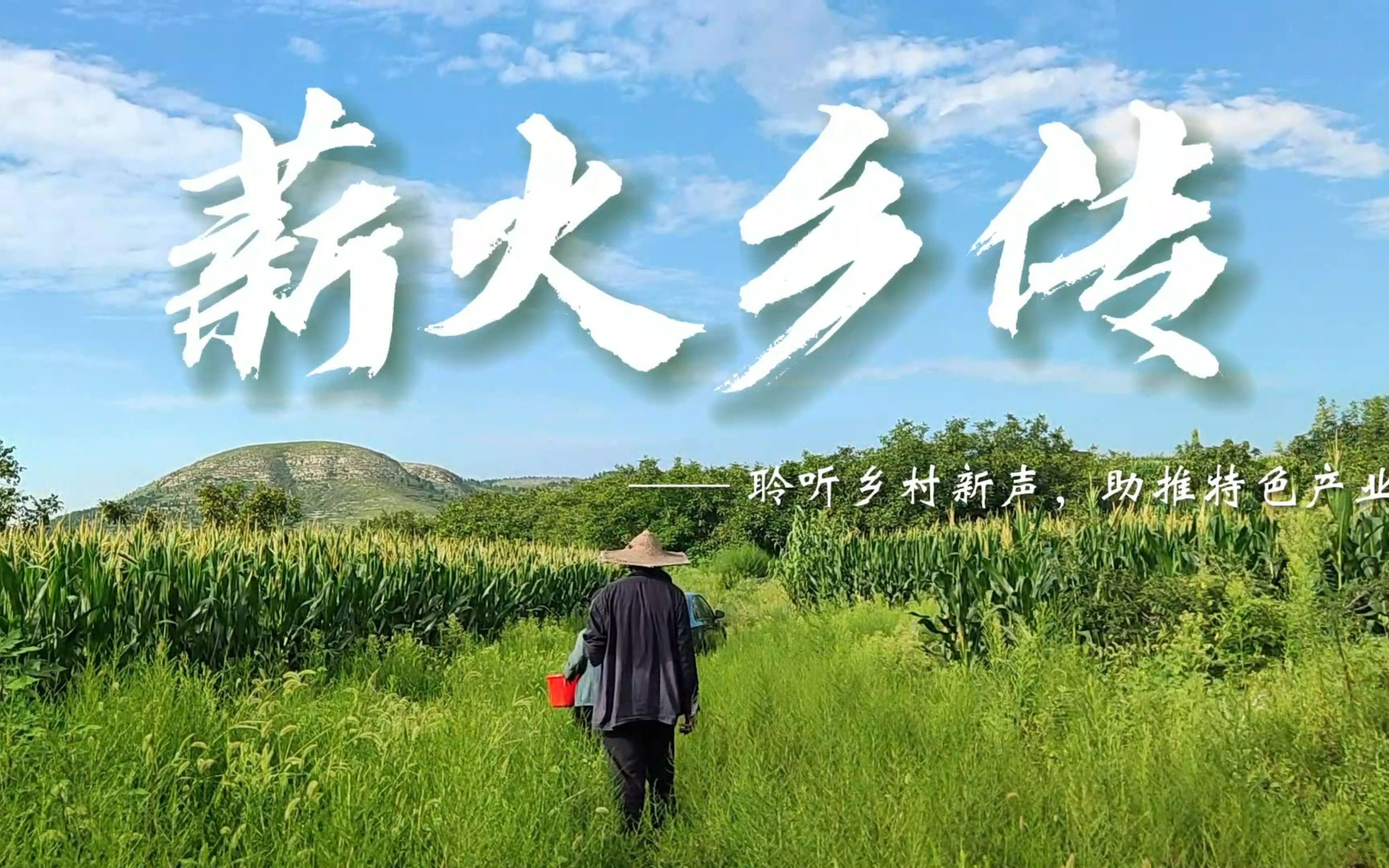 ...三下乡”暑期社会实践调研视频 | 薪火乡传蕴乡情|山东省泰安市五埠村