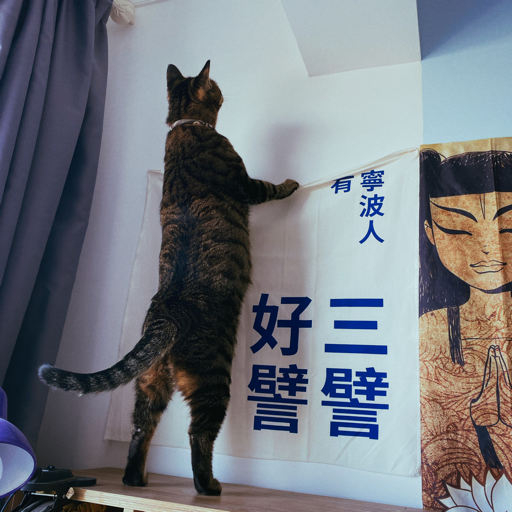 阿水和比比 