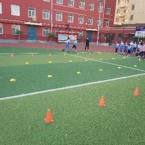 一个教体育的高老师 