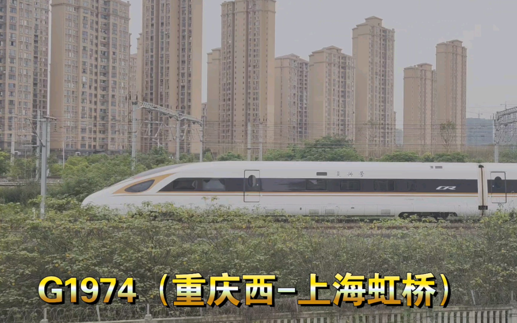 【中国铁路】上海虹桥动车所CR400BF-A-3104担当G1974(重庆西-...