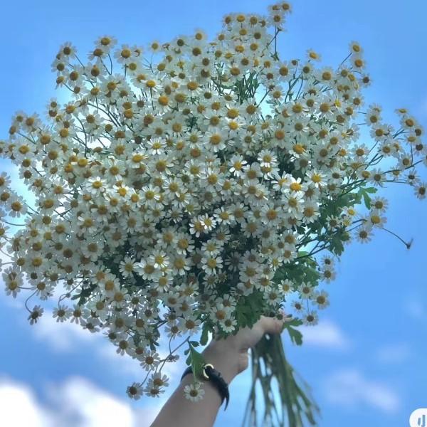 小明1477444720820206 