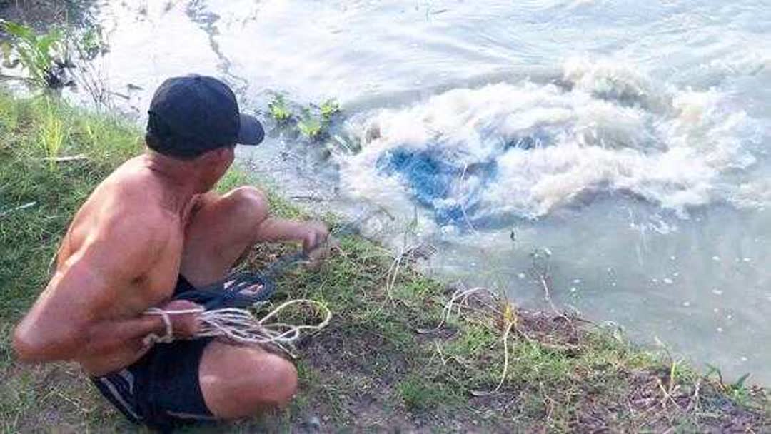 农村大哥撒网捕鱼,拉上来了一条大鱼,看看这是什么鱼呢?