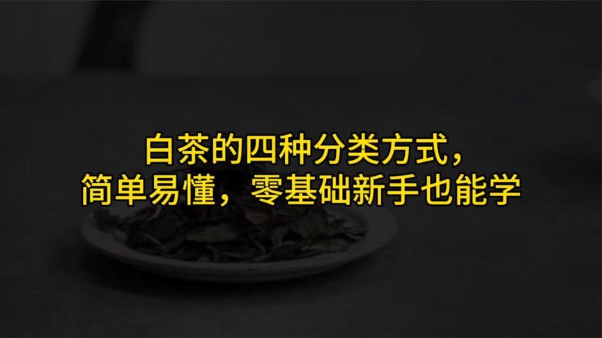 白茶的四种分类方式, 简单易懂,零基础新手也能学